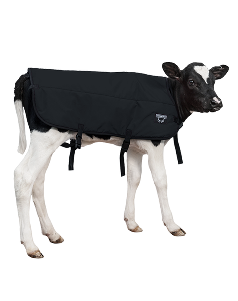 Calf Blanket - Calf Jacket – Udder Tech, Inc.