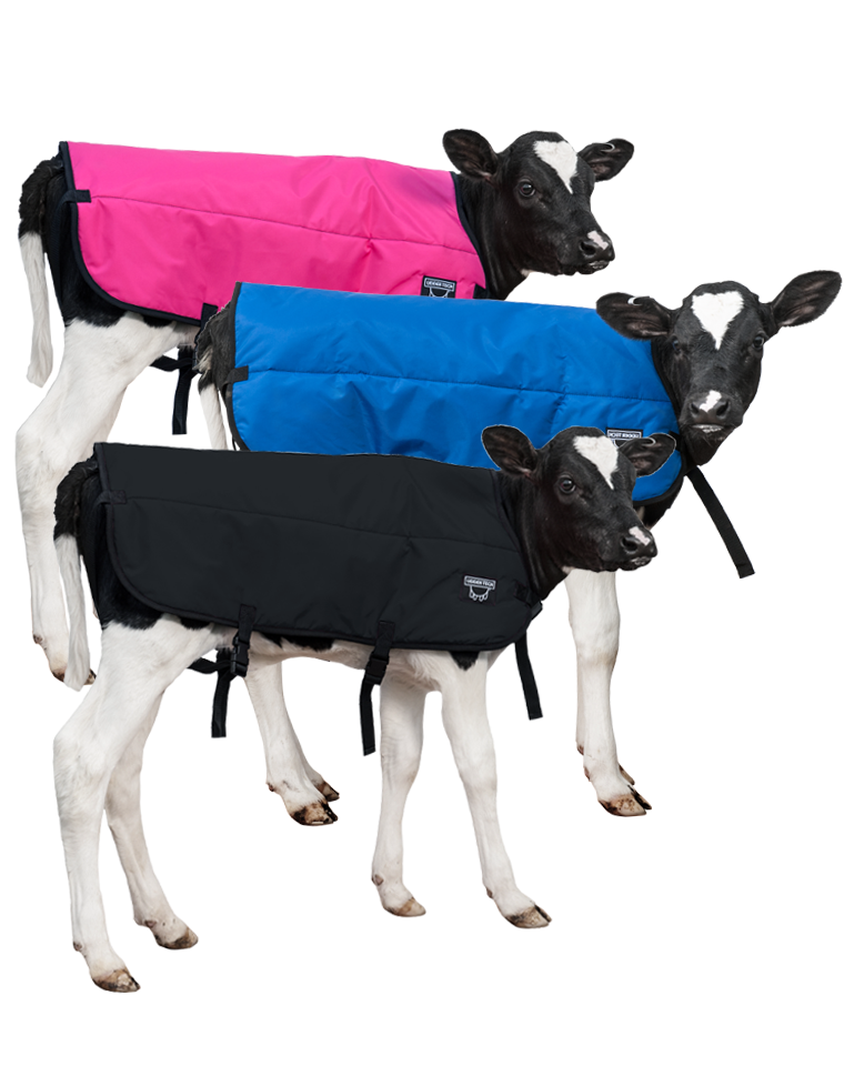 Calf Blanket - Calf Jacket – Udder Tech, Inc.