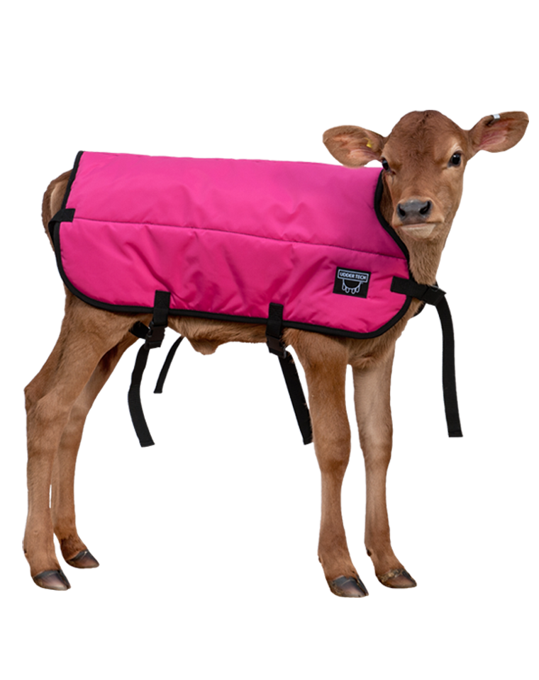 Calf Blanket - Calf Jacket – Udder Tech, Inc.