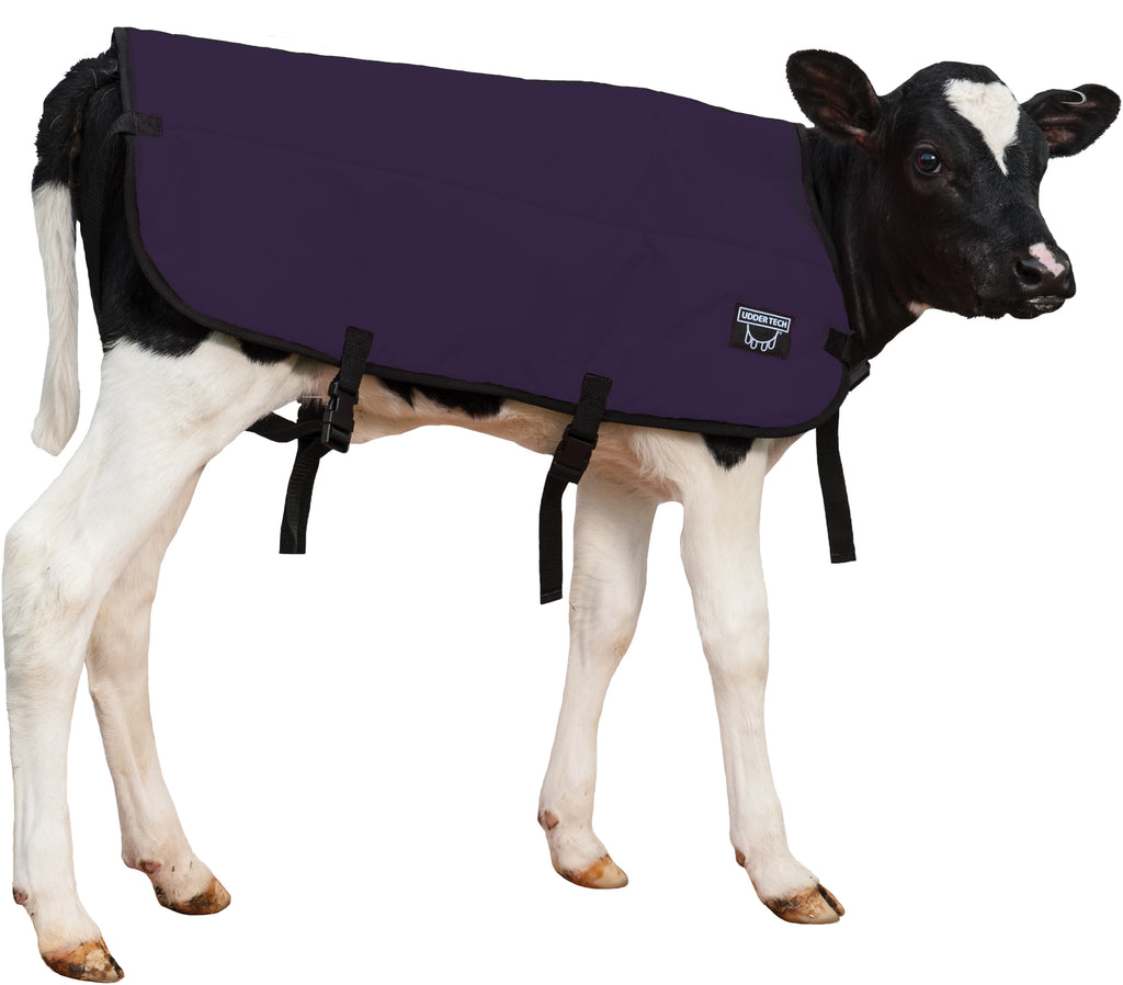Calf Blanket - Calf Jacket – Udder Tech, Inc.