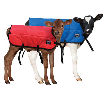 Calf Blanket - Calf Jacket – Udder Tech, Inc.